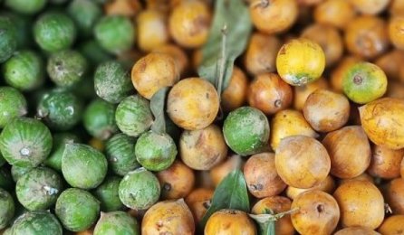 Health Benefits of Agbalumo (Udara) in Pregnancy | Babymigo