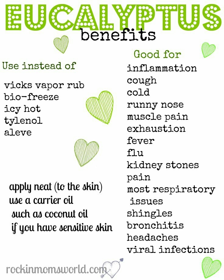 Importance of the silverbird eucalyptus oil most of us leave on our ...